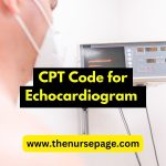 CPT Code for Echocardiogram - ICD 10 Coding