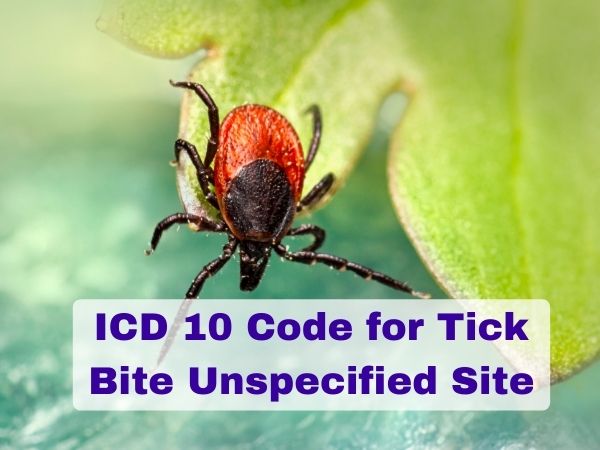 Secret ICD 10 Code for Tick Bite Unspecified Site
